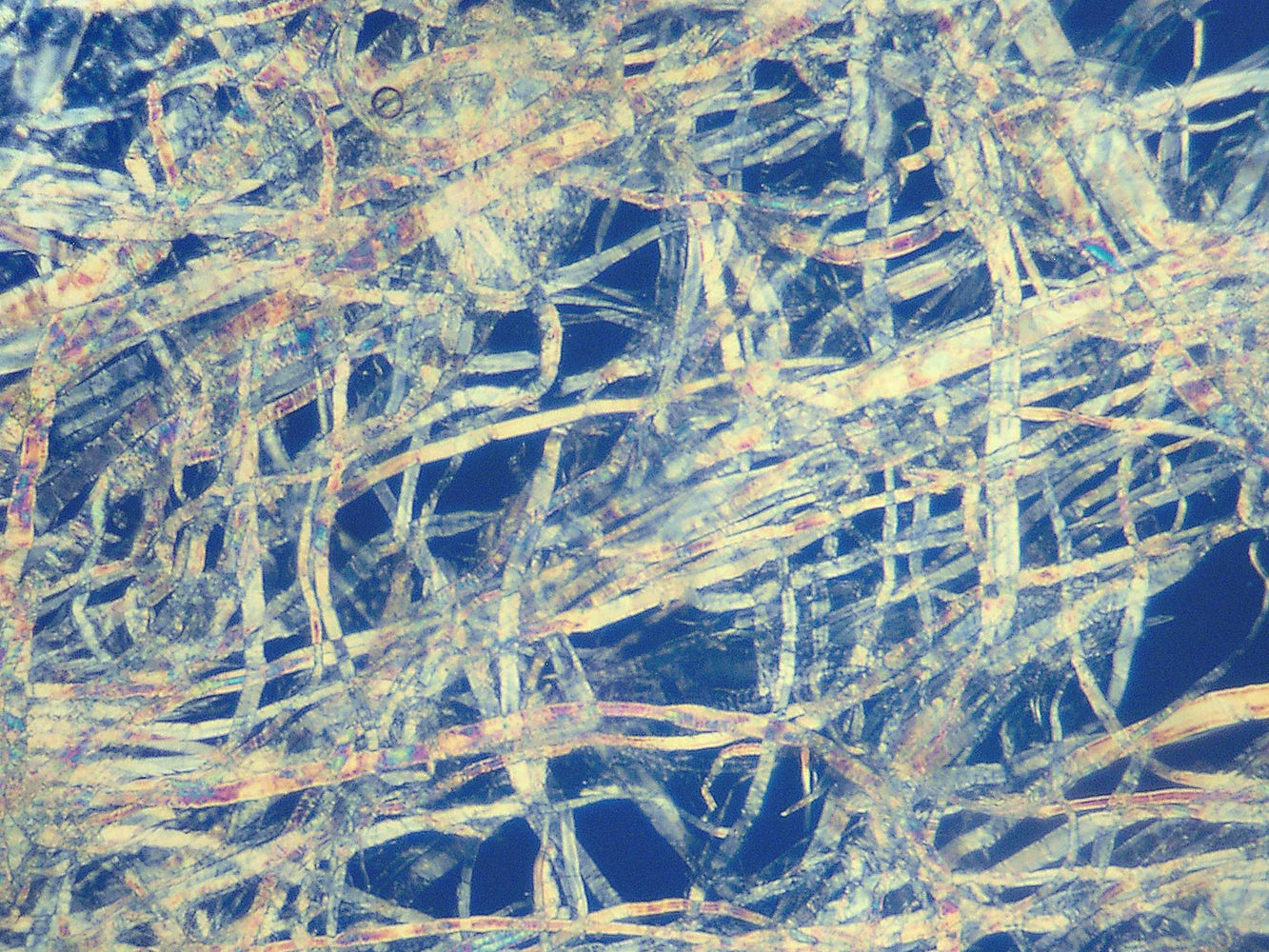 Preservation Self-Assessment Program (PSAP) | Paper