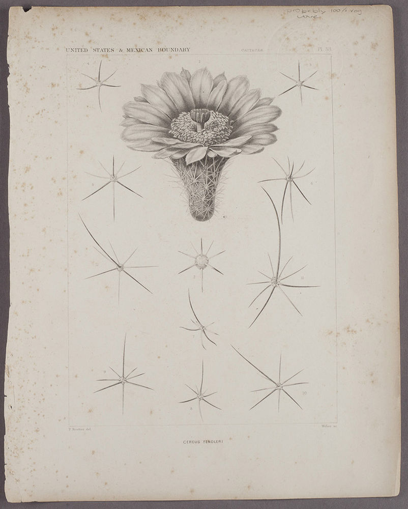 Preservation Self-Assessment Program (PSAP) | Paper