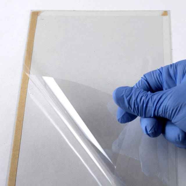 Preservation Self-Assessment Program (PSAP) | Lamination vs. Encapsulation