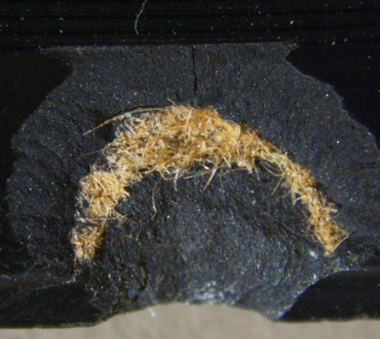 Preservation Self-Assessment Program (PSAP) | Phonograph Record